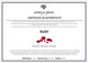 Princess Cut Ruby Gemstone - Loose Discount Ruby