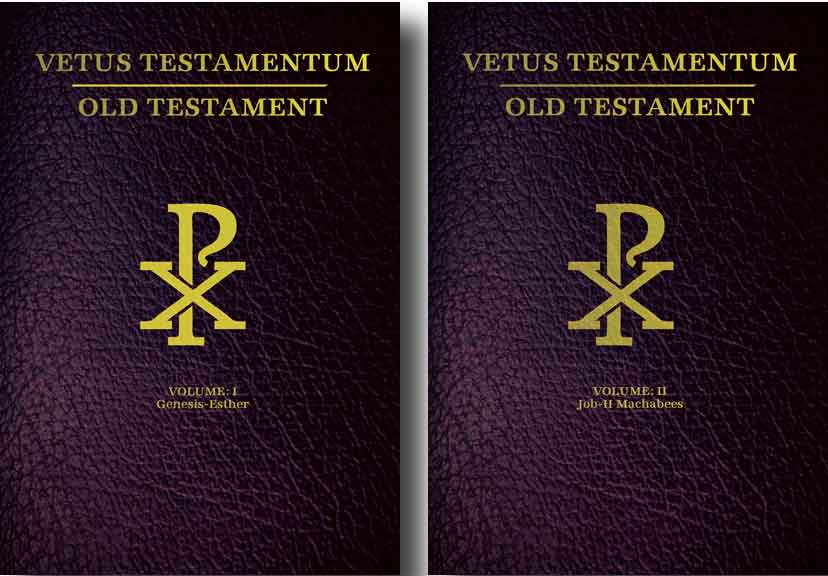 Testamentum/ Old Testament Douay Rheims Version Bible - 2 Volume Set
