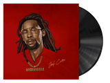 Reggae Music | VP Reggae
