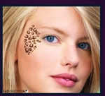 Stencils - FX Stencils - The Paint and Party Place