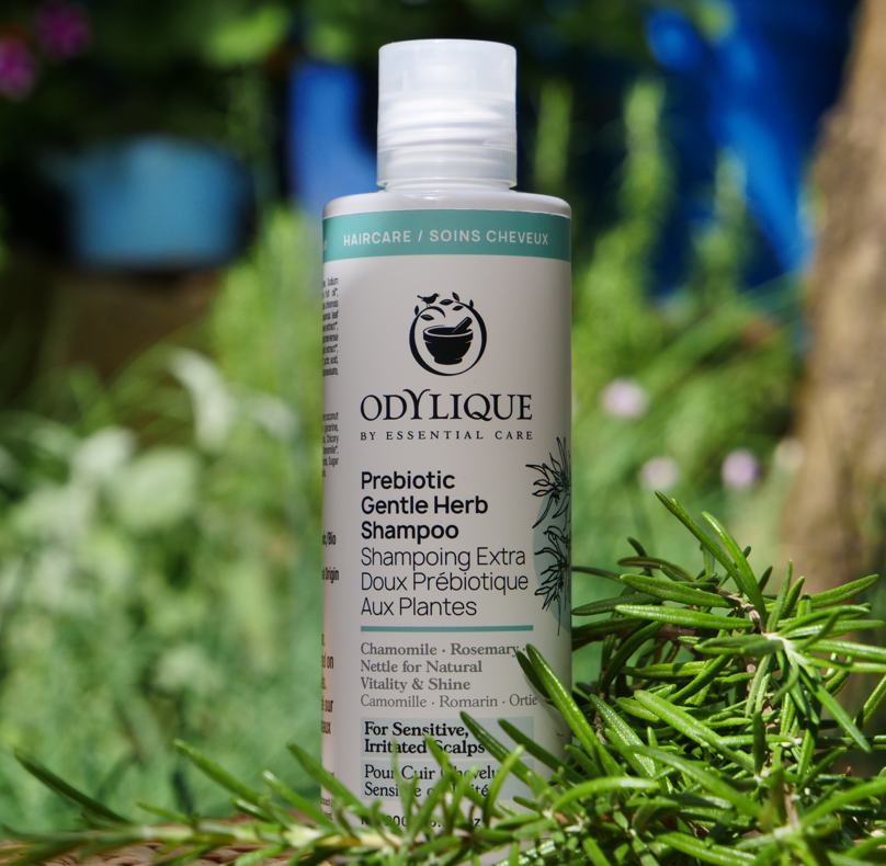 Prebiotic Shampoo | Odylique .COM | Hypoallergenic Shampoo For ...