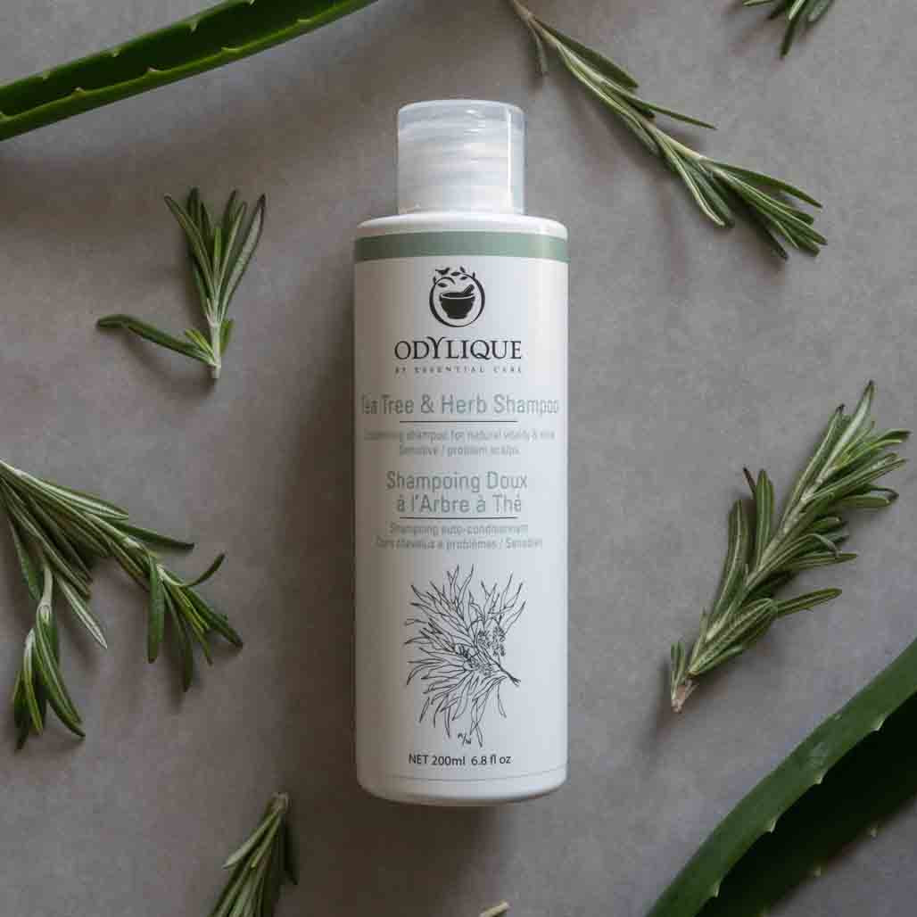 Tea Tree Shampoo | Organic Tea Tree Clarifying Shampoo | Shampoo Oily ...