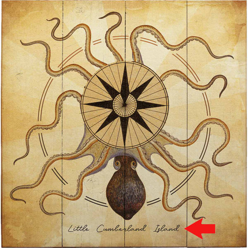 Octopus Compass Personalized Wood Sign | Bella Coastal Decor