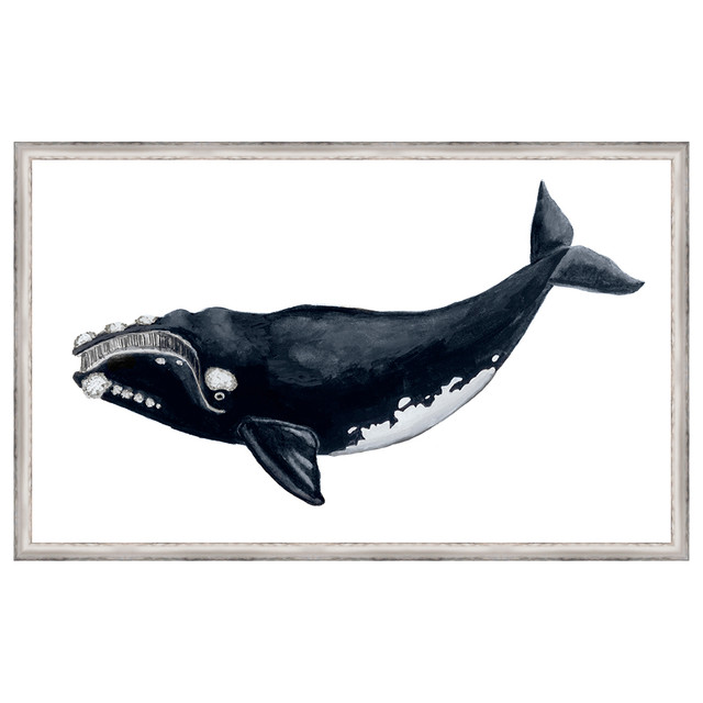 Big Blue Whale Framed Prints - Set of 3 | Bella Coastal Decor