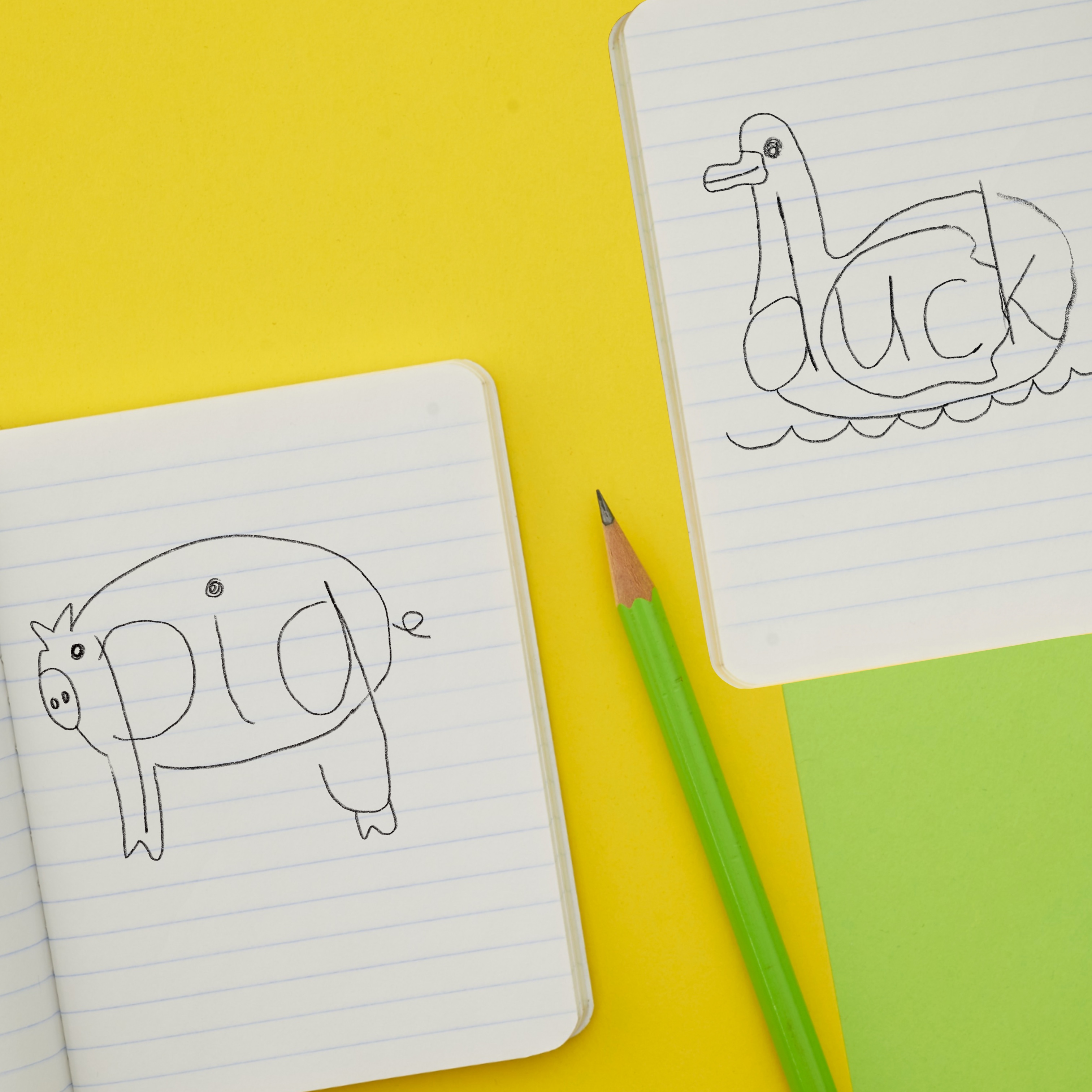 Pictographs Resource Book: Make Your Own Pictographs