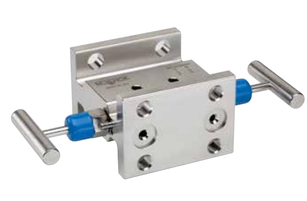 NOSHOK Hard Seat, 1/2" NPT Female x 1/2" NPT Female, 316 Stainless ...