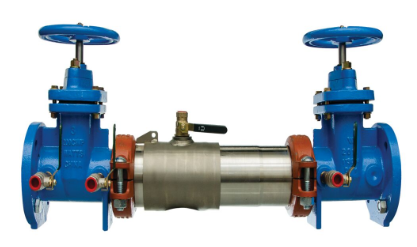 10" Watts 757-NRS 10, Lead-Free Stainless Steel, Double Check Valve ...