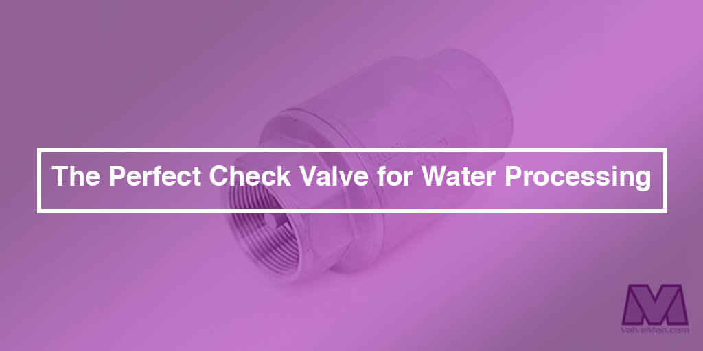 The Perfect Check Valve for Water Processing - ValveMan.com