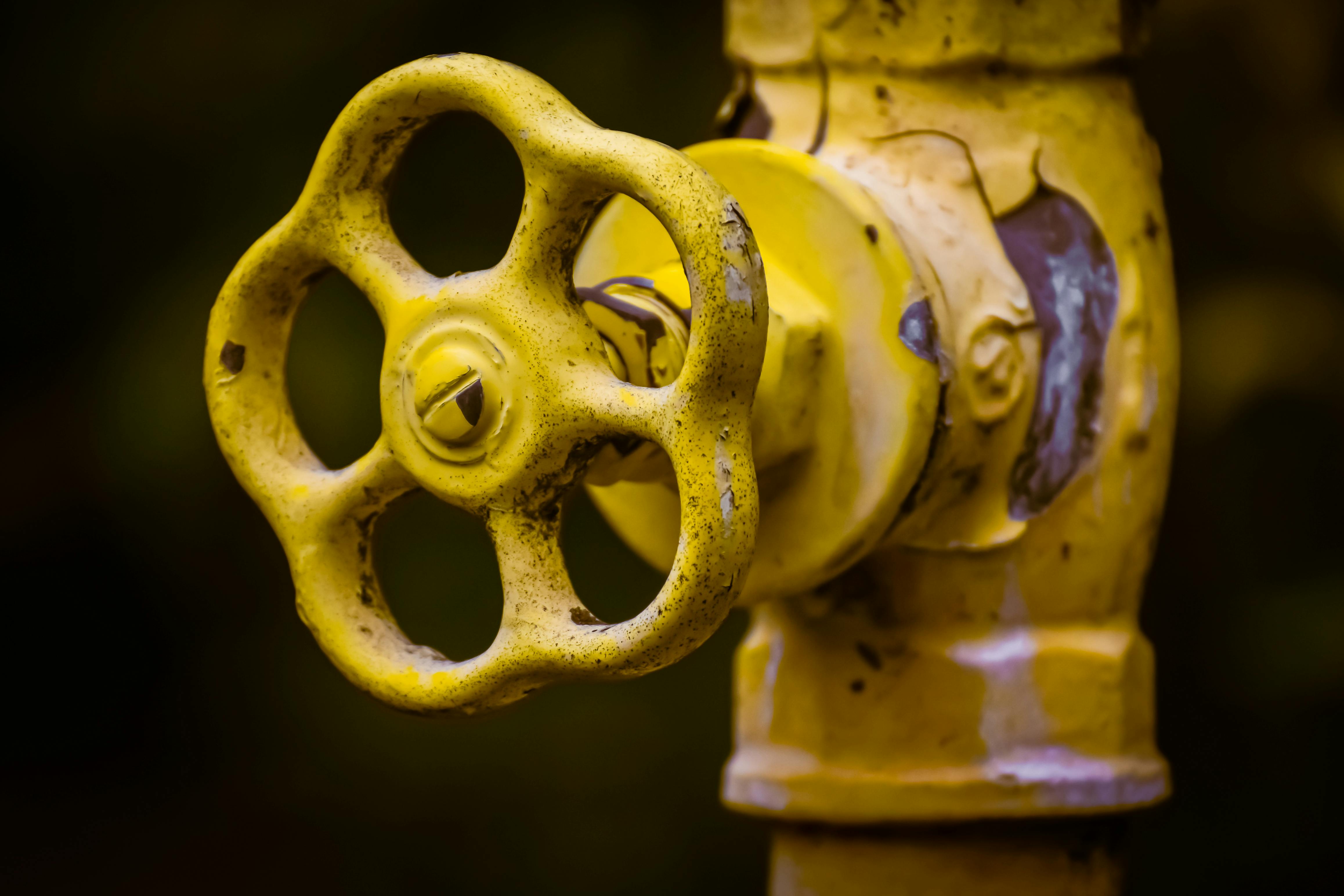 Types of Valves in Plumbing - ValveMan