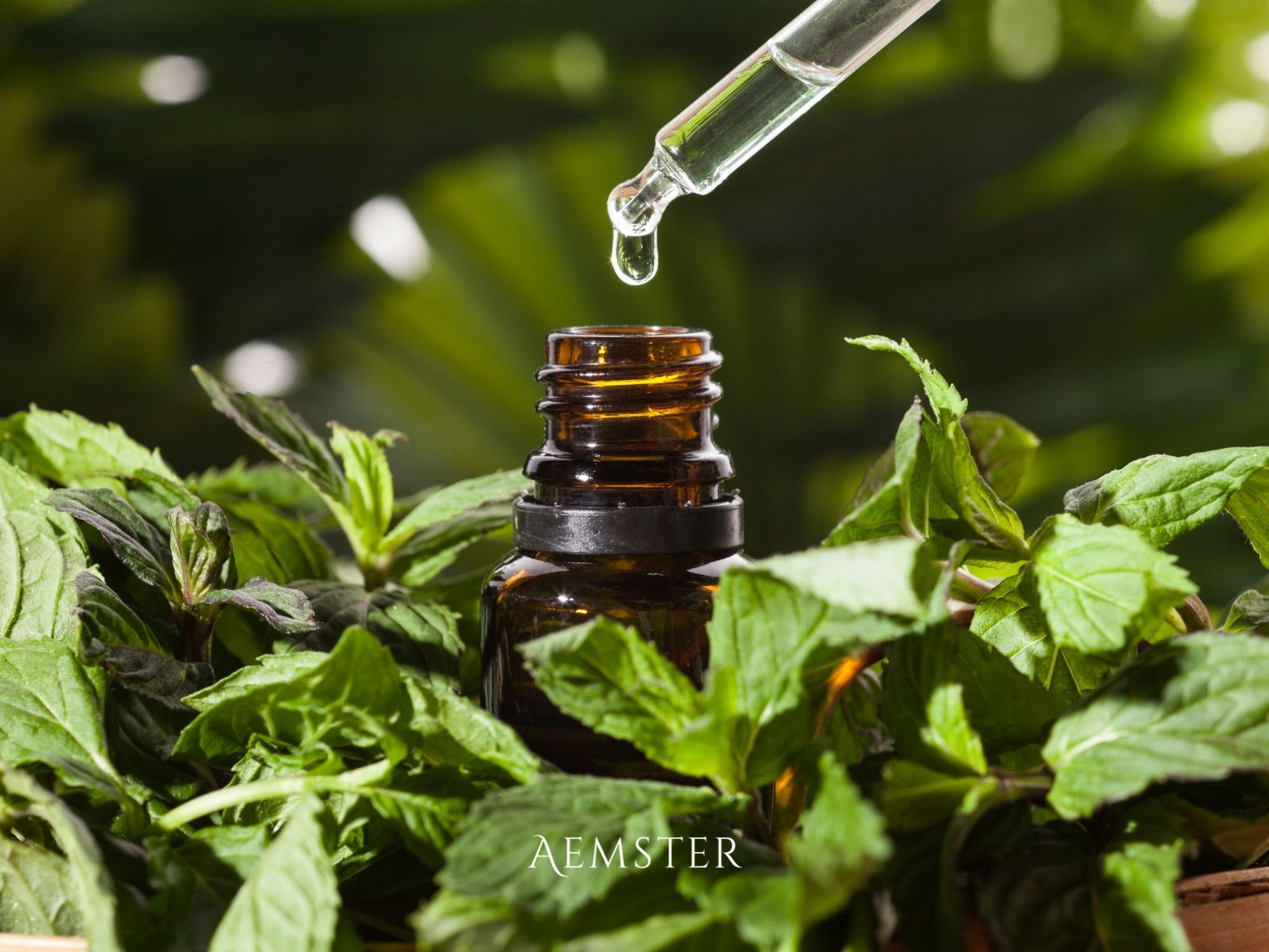 Nature inspired home perfumes - Aemster