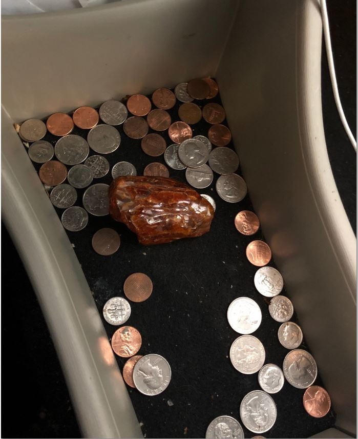 Amber Shield - 5 Sizes Available - eWater