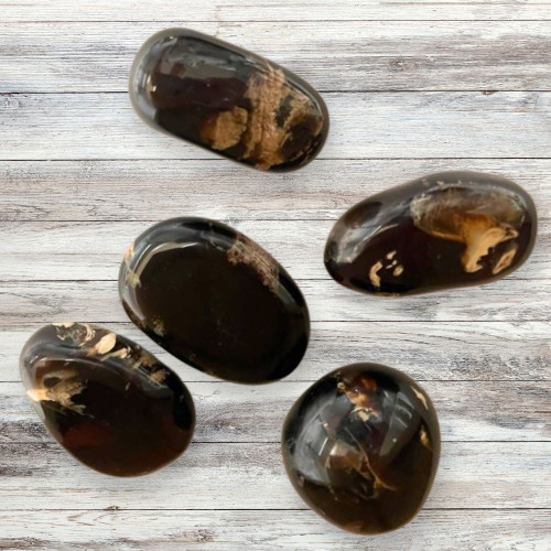 Amber Shield - 5 Sizes Available - eWater