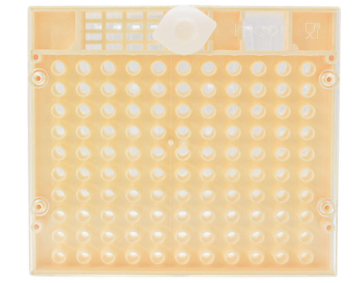 Brown Cell Cups | Mann Lake Ltd.