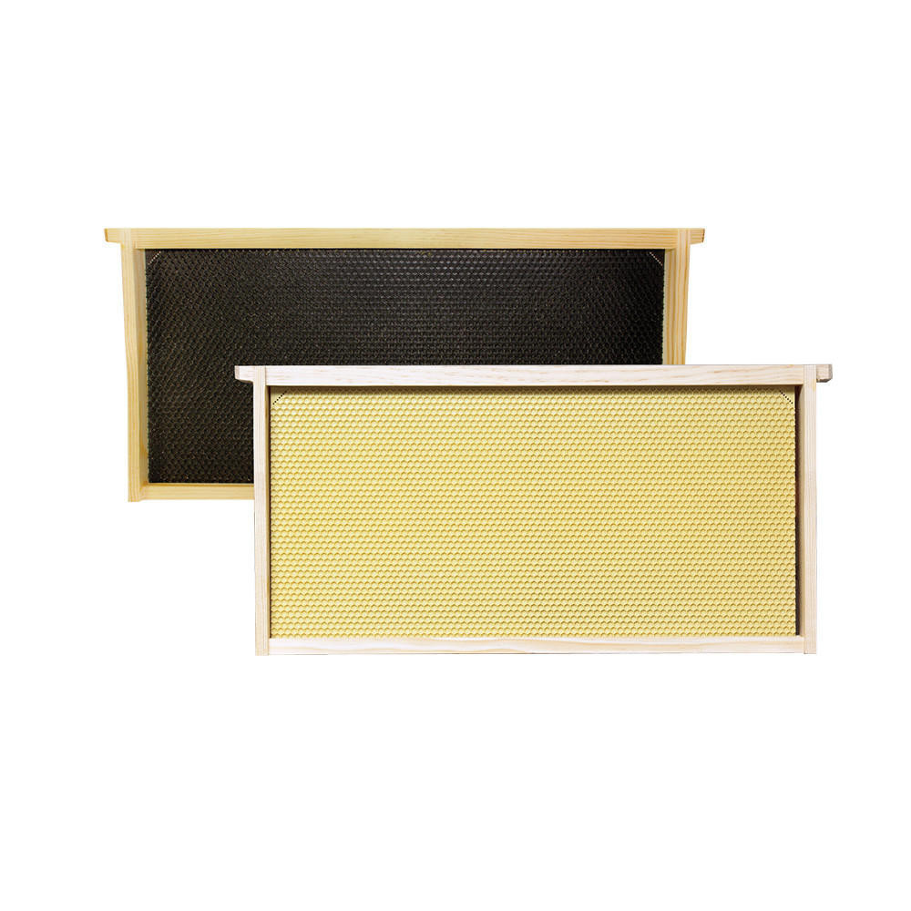 9 1/8" Green Plastic Drone Comb Frame - Each | Mann Lake Ltd.