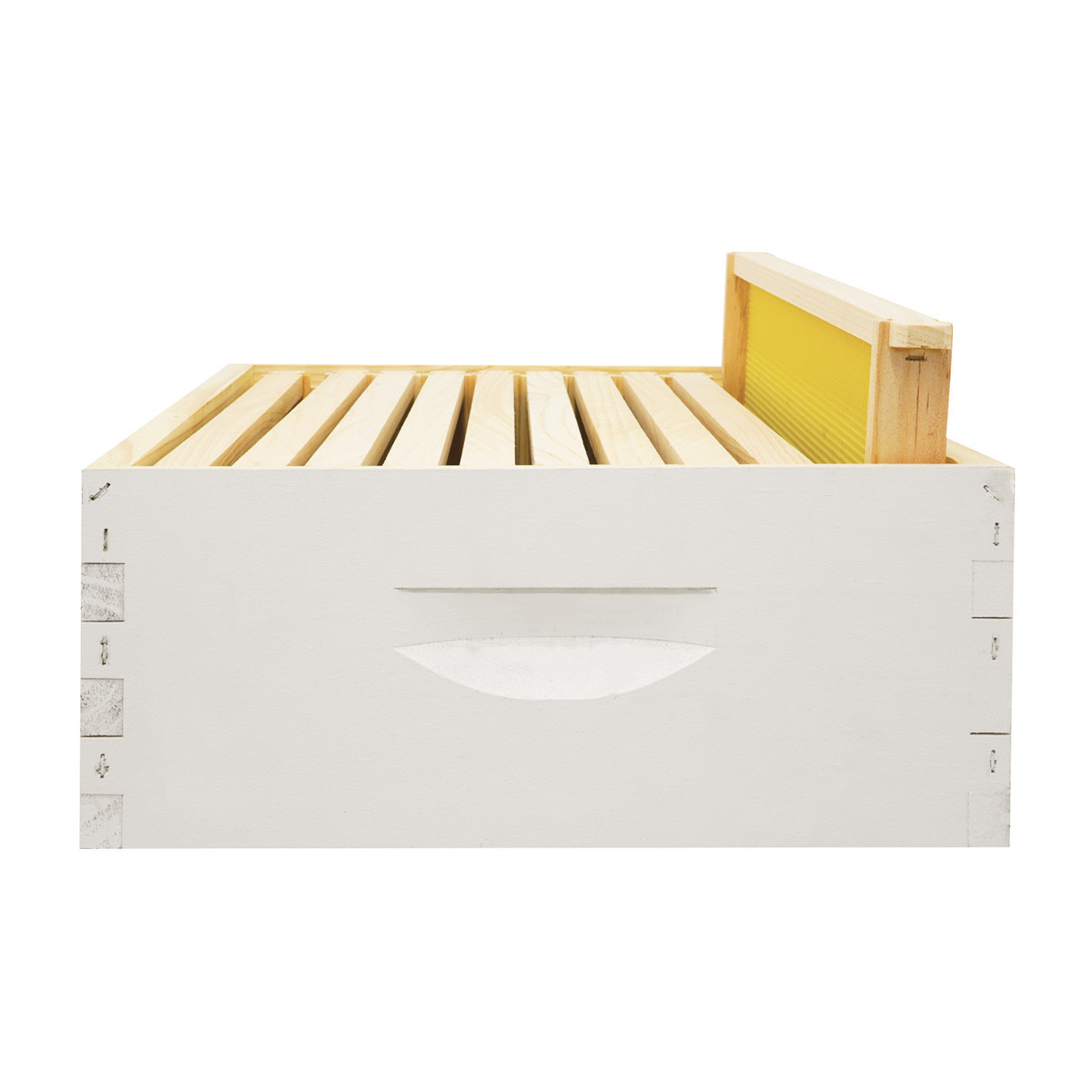 Hive Frame Super Frames (Hoffman Style Self-spacing, SN4) For BS ...