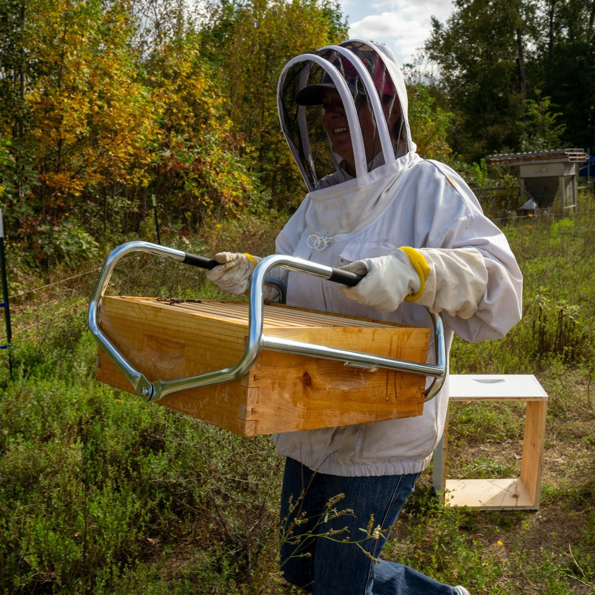 Single Hive / Super Carrier | Mann Lake Ltd.