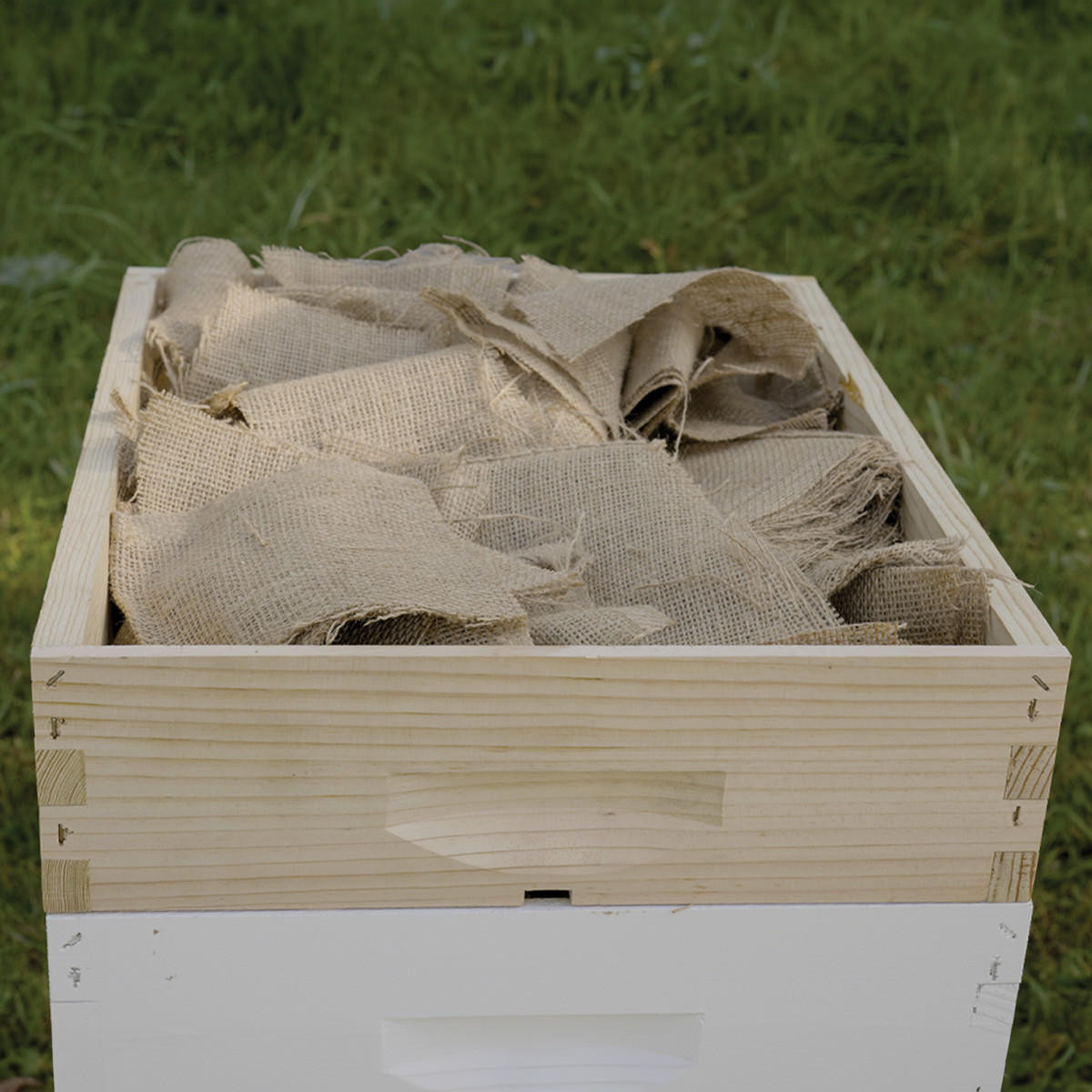 10-Frame Quilt Box for Bees | Mann Lake