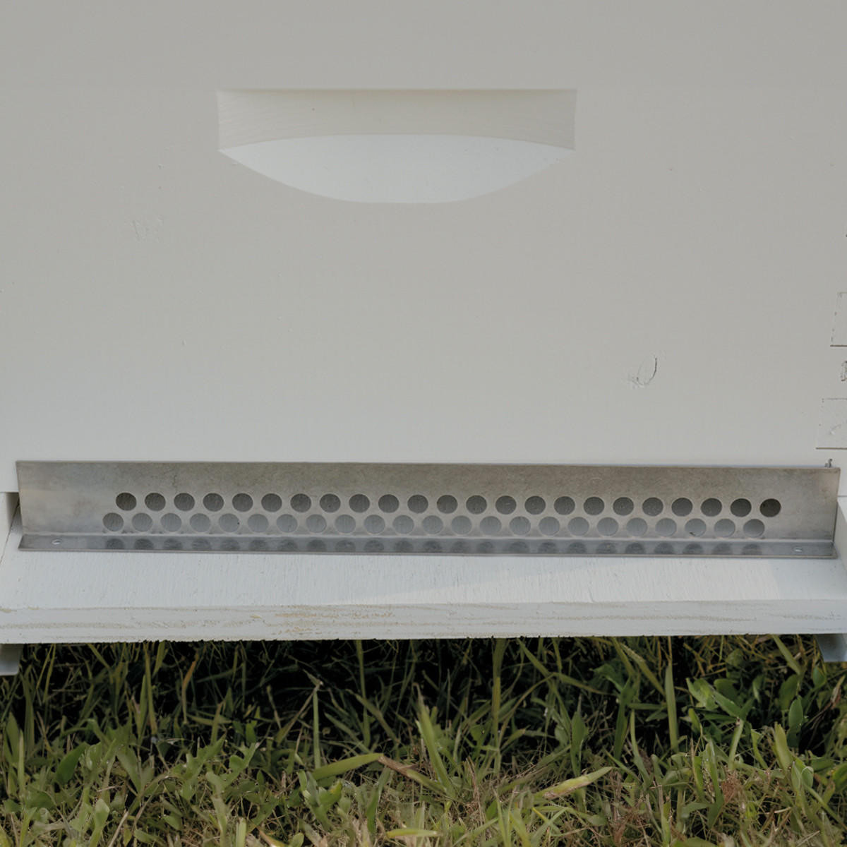 10-Frame Mouse Guard for Beehive| Mann Lake