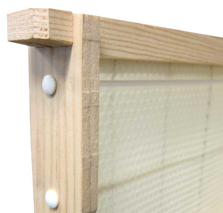 ApiLife Var - Natural Varroa Mite Control | Mann Lake