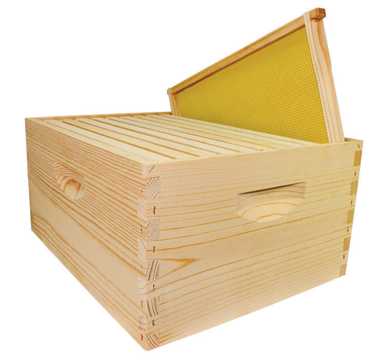 Top Bar Bee Hive Kit - Unassembled | Mann Lake