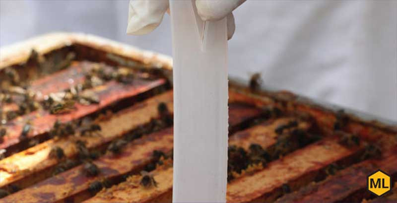 Varroa Mite Treatment - Mann Lake Bee & Ag Supply