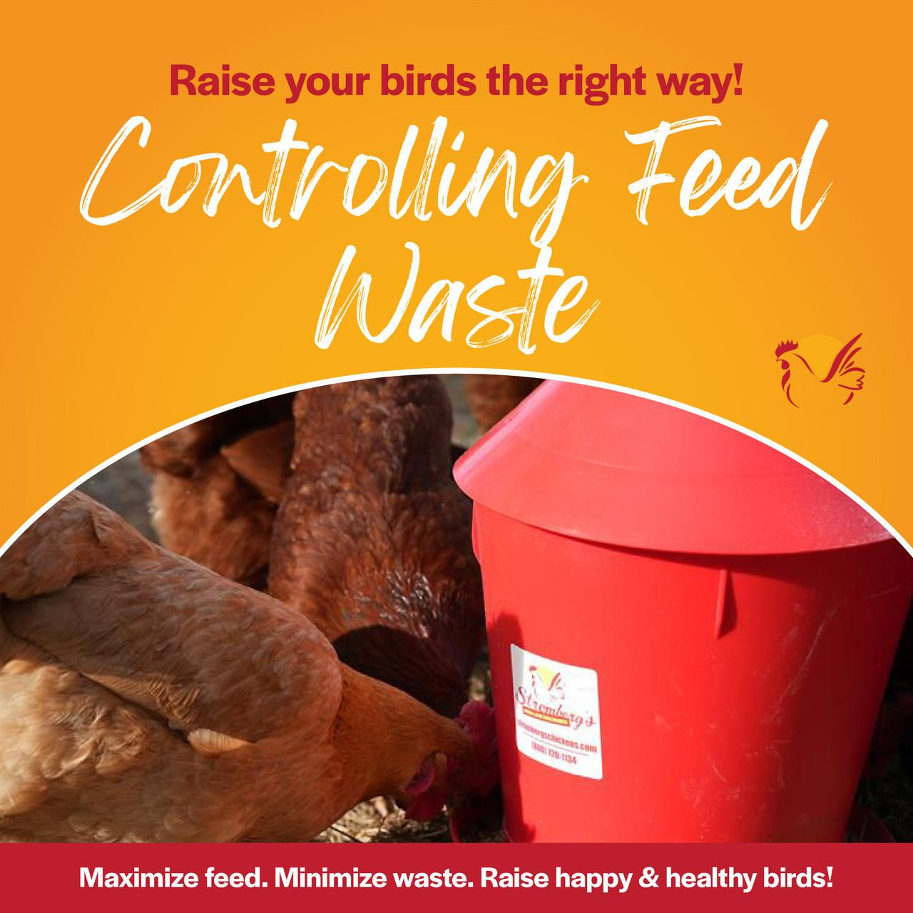 Hinged Feed Control 16 lb Universal Feeder | Mann Lake Ltd.