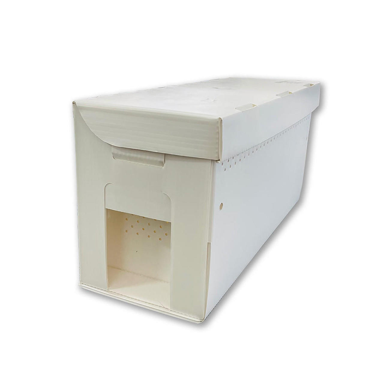 Jester EZ Nuc Box - 5 Frame - Corrugated Plastic | Mann Lake