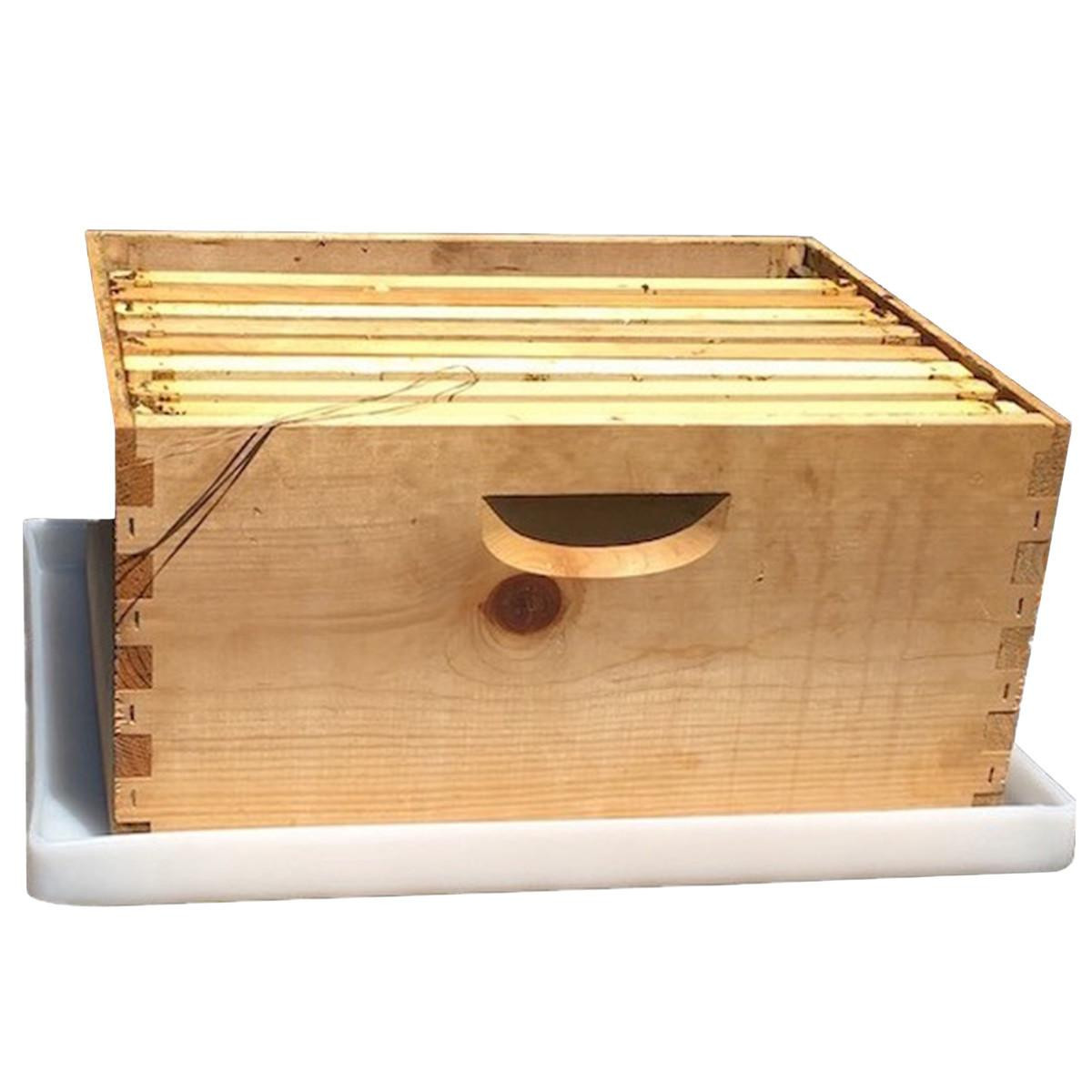 Hive Carrier | Beehive Lifter | Mann Lake