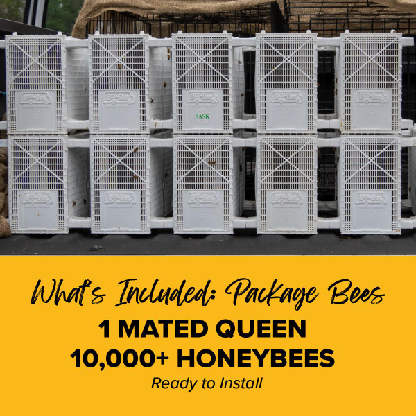 Russian-Carniolan Hybrid Package Bees | Mann Lake
