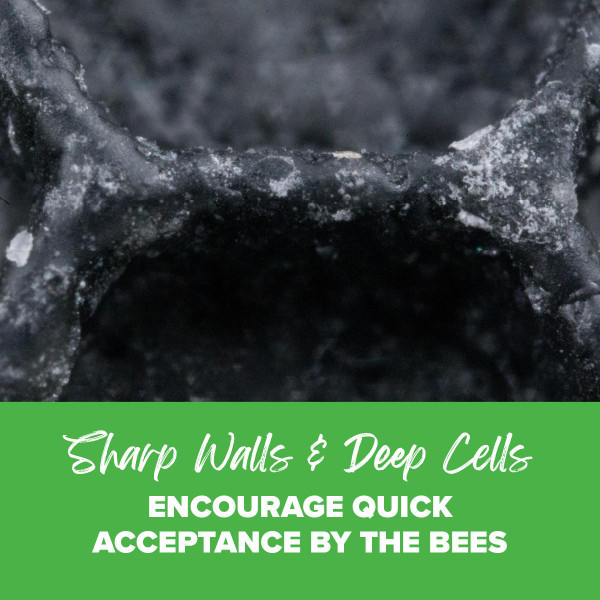 8 1/2" Waxed Rite Cell Foundation | Mann Lake