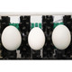 Little Egg Scrubber | Mann Lake Ltd.