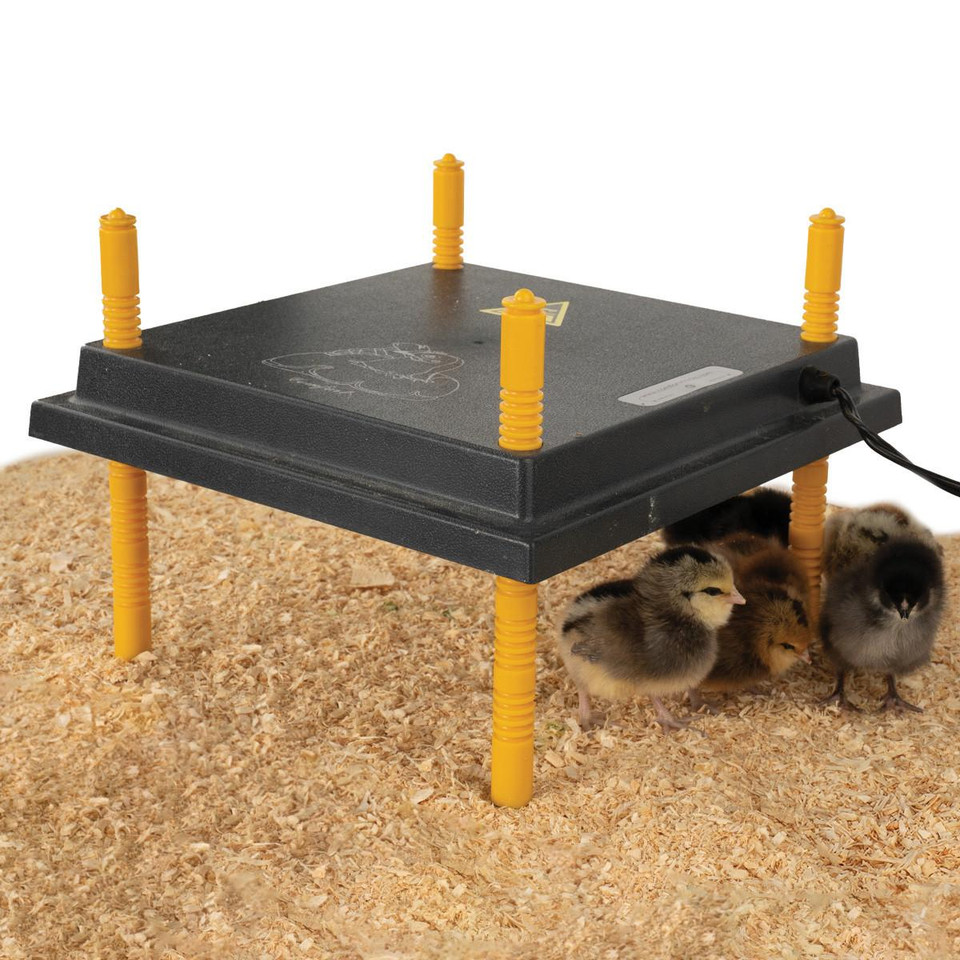 Comfort Chick Brooders | Mann Lake Ltd.
