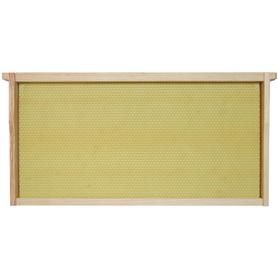 9 1/8" Natural Assembled Frames with Waxed Rite-Cell® Foundation, case ...