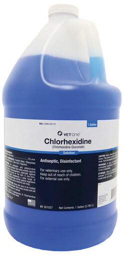 Chlorhexidine 2% Solution - 1 Gallon | Mann Lake
