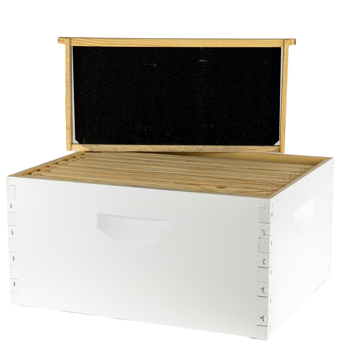 Assembled 9 5/8" Deep Hive Kit with Plastic Wax Coated Foundation and ...