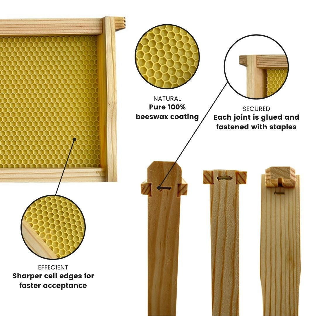 bee hive frame foundation