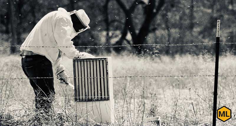 A Brief History of Beekeeping - Mann Lake Bee & Ag Supply