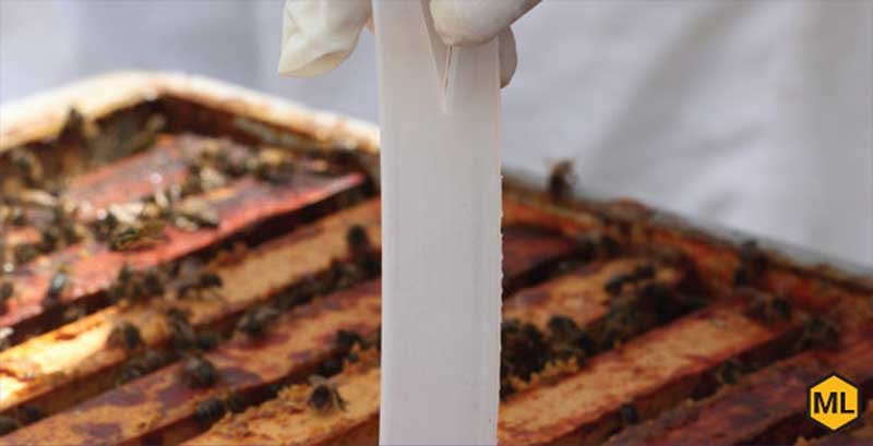 Varroa Mite Treatment - Mann Lake Bee & Ag Supply