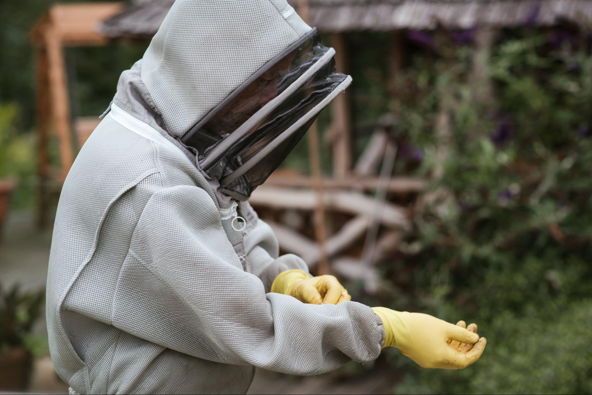 7 Tips For Getting Started With Beekeeping - Mann Lake Bee & Ag Supply