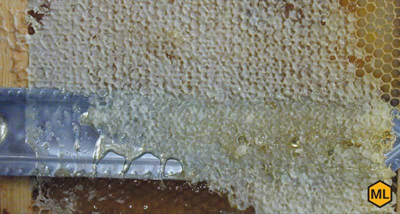 Guide To Uncapping Frames - Mann Lake Bee & Ag Supply