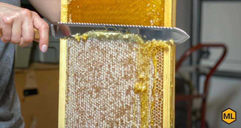 Tips For Extracting Honey From A Beehive - Mann Lake Bee & Ag Supply