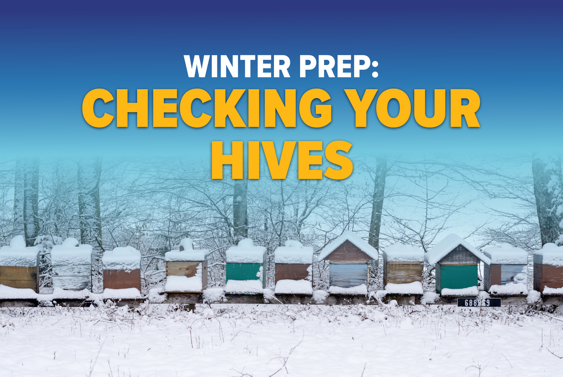 Should You Open Your Hive Mid-Winter? - Mann Lake Bee & Ag Supply