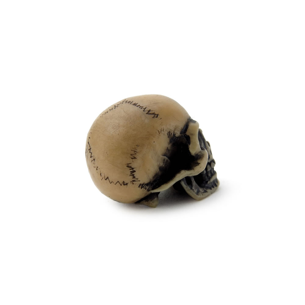 Lapillus Worry Skull | Gothic Home Decor | Alchemy