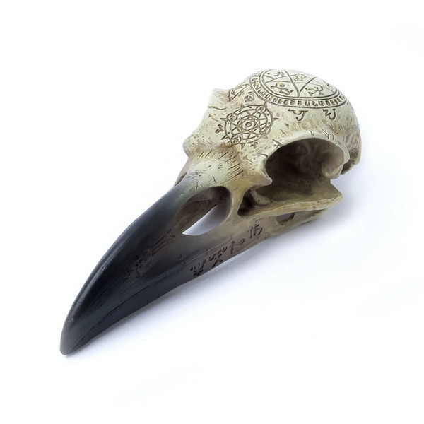 Omega Raven Skull | Gothic Home Decor | Alchemy