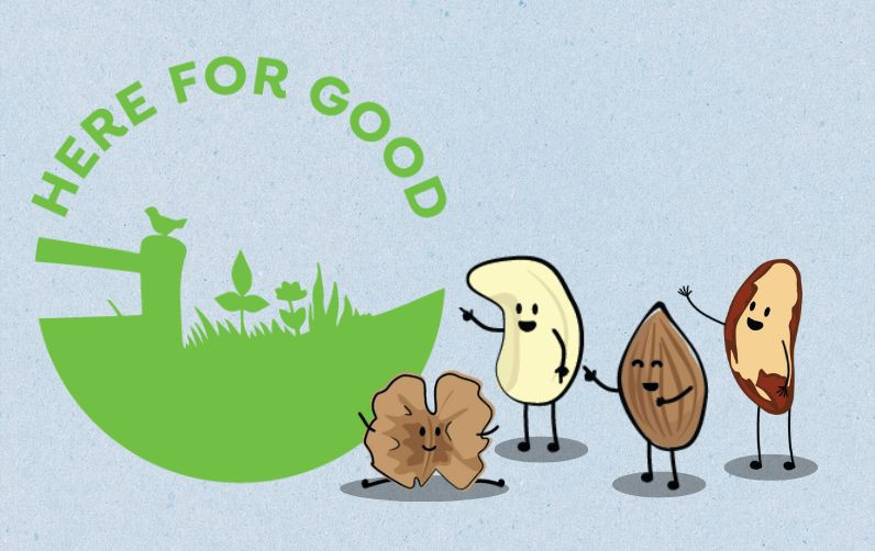 Blog - Honest to Goodness