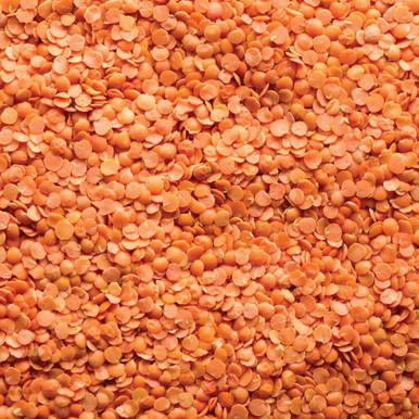 Australian Red Split Lentils 25KG | Honest to Goodness
