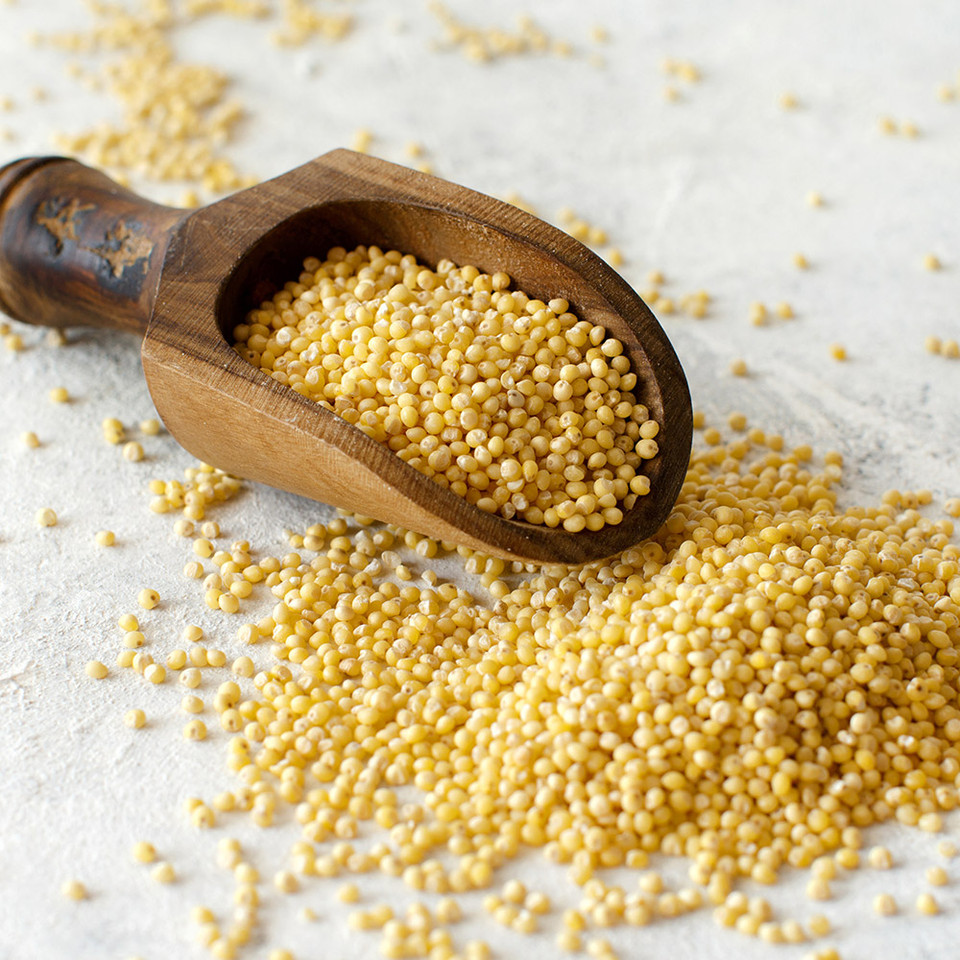 Organic Hulled Millet 25KG | Bulk Grains | Honest to Goodness