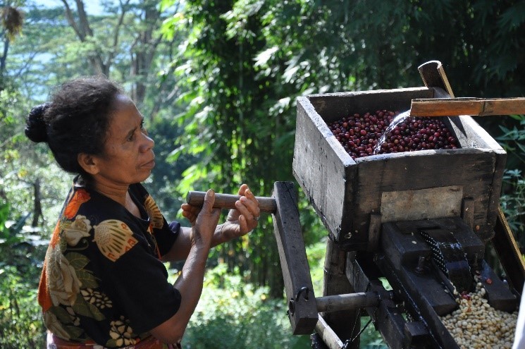 Coffee Growing Regions for our Neighbours Blend Organic Coffee - Honest ...