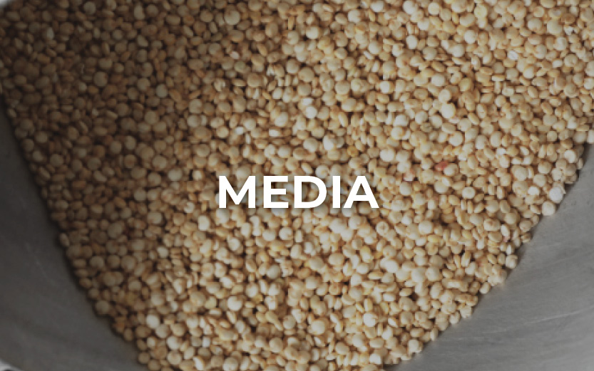 About Us | Honest to Goodness | Company Story