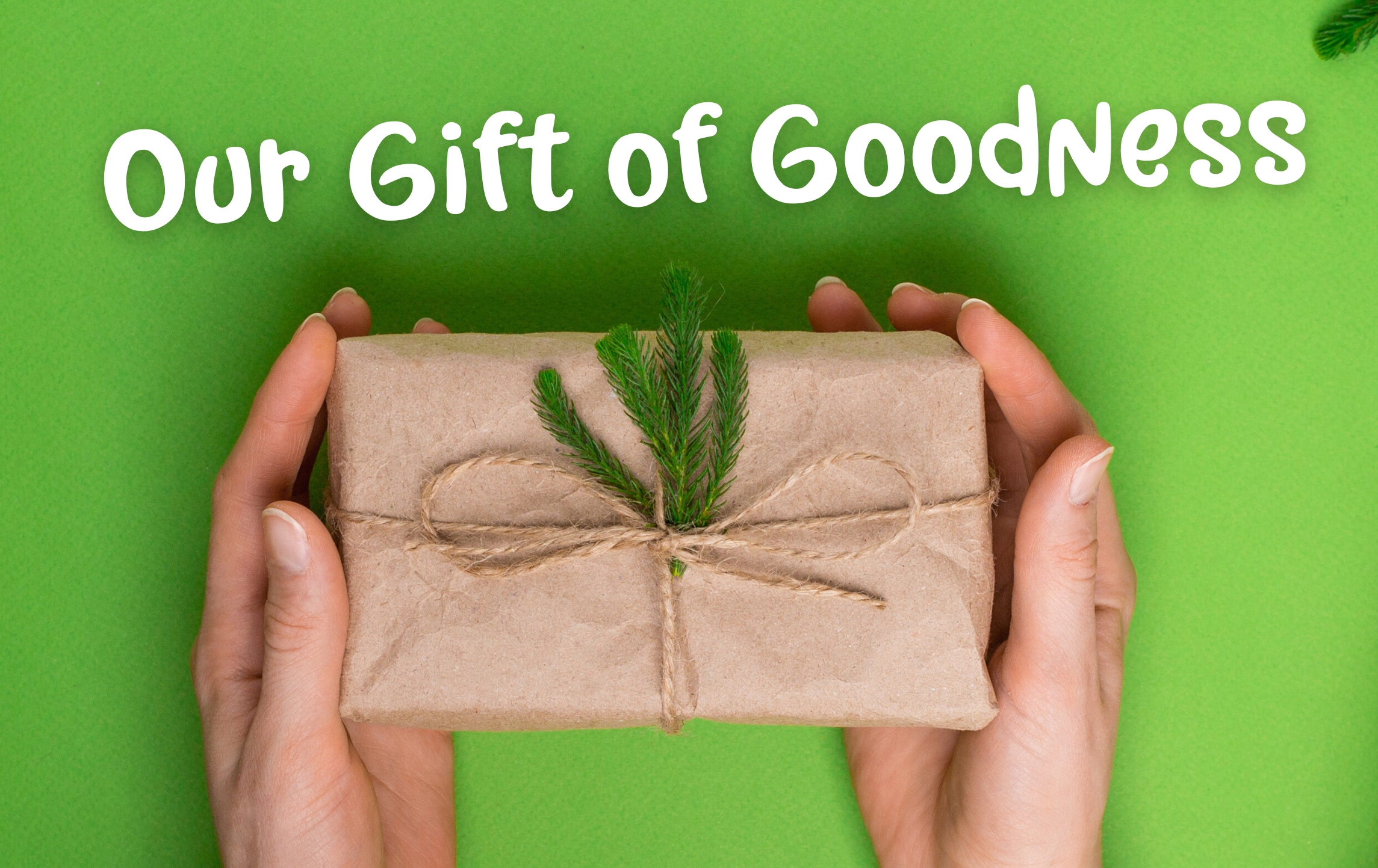 Goodness Gift Giving I Our Christmas Charity Donations in 2025 - Honest ...